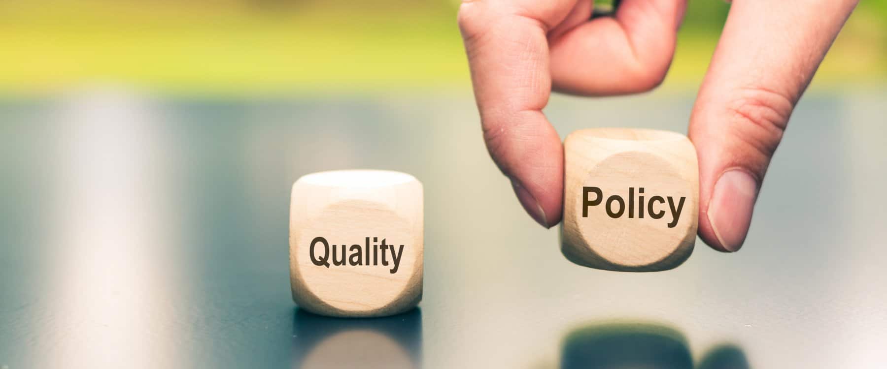 Quality Policy - Global Surveys
