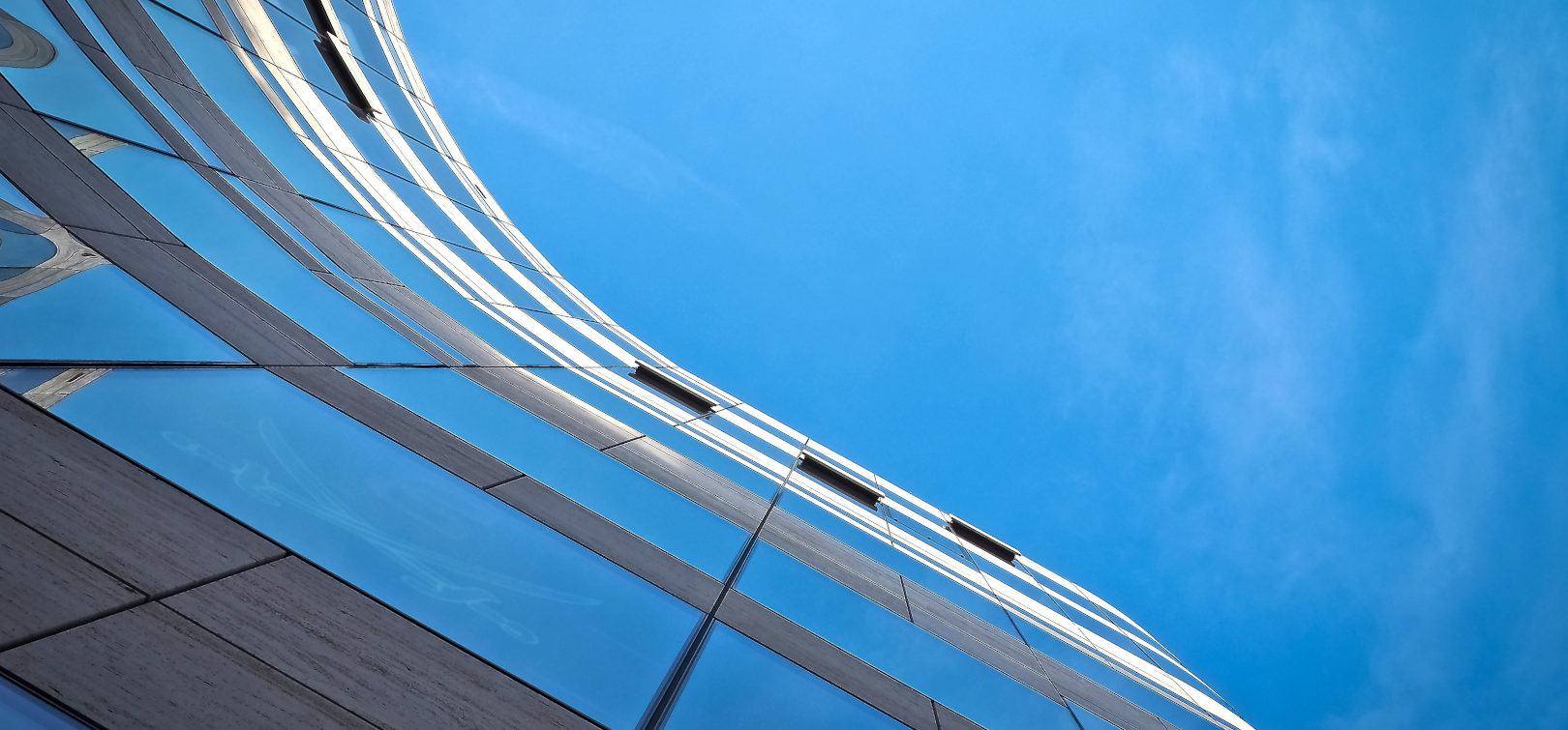 Organizational and Institutional Services - Global Surveys